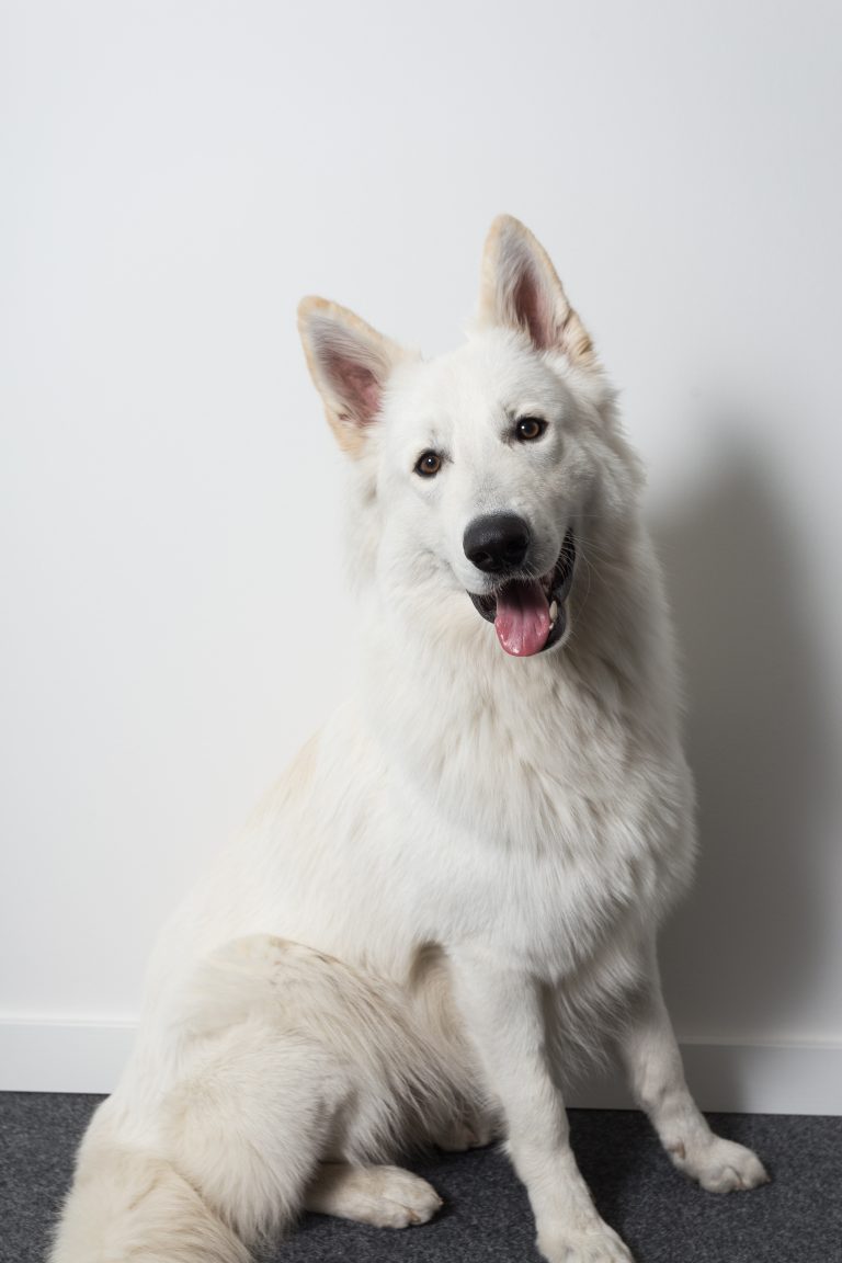 Meet our Management Team | Adragos Pharma