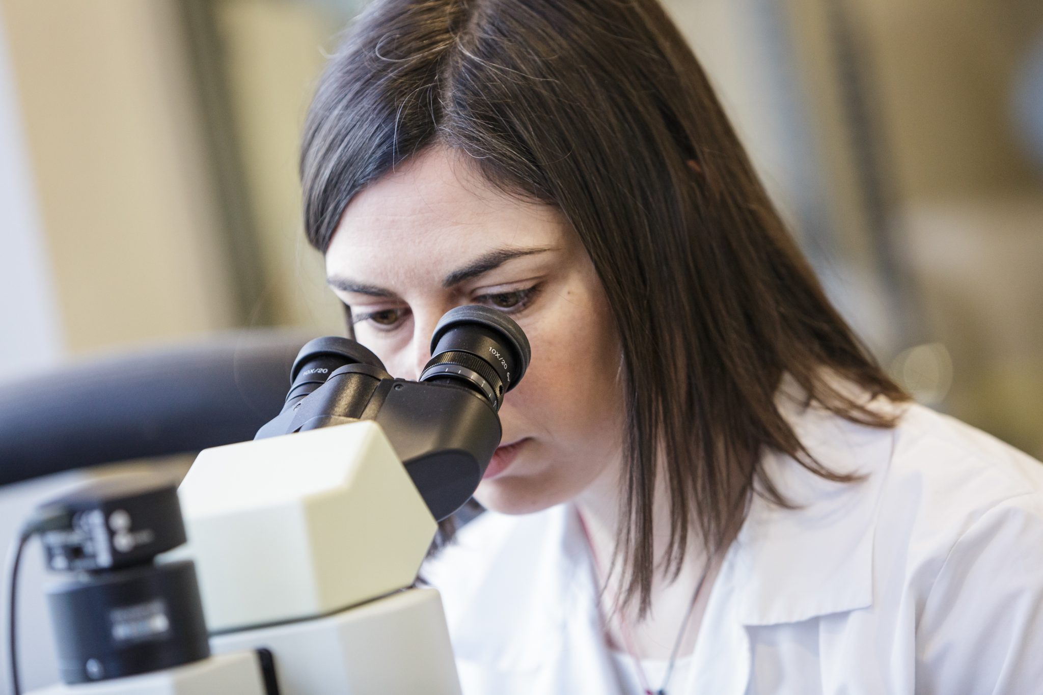 Pharmaceutical Out Licensing | Adragos Pharma