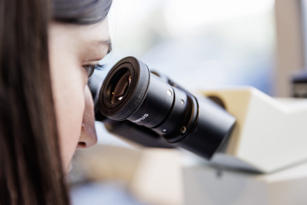 The Drug Development Process: Meaning and Main Phases Explained