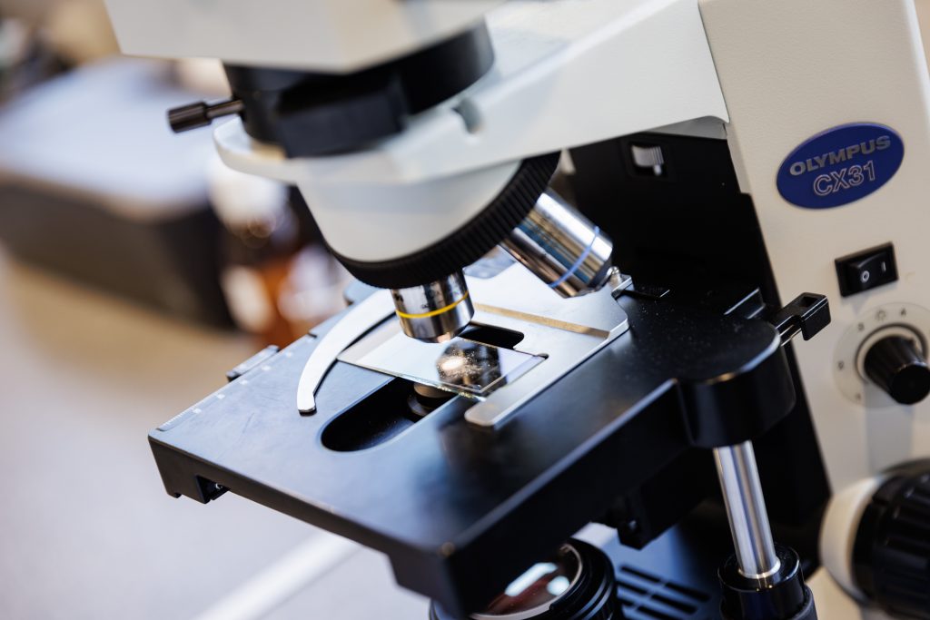 Small Molecule Drugs: Key Facts & Choosing the Right Partner