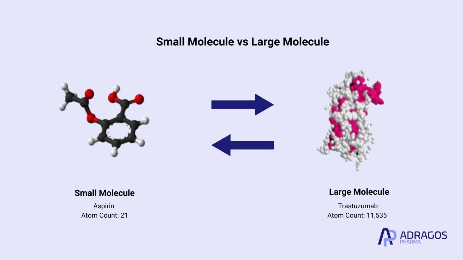 Understanding the Differences: Large Molecules vs Small Molecules